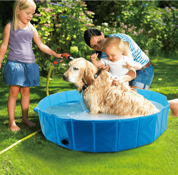 ‎Portable Foldable Dog Pet Pool - Yiwu Sunrise Inflatable Toys LTD